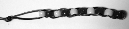 The Bead Counter, it Worked for Us | ACCESS Inclusion Newsletter