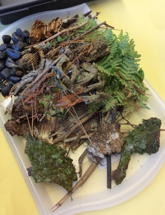 Natural Loose Parts | ACCESS Inclusion Newsletter